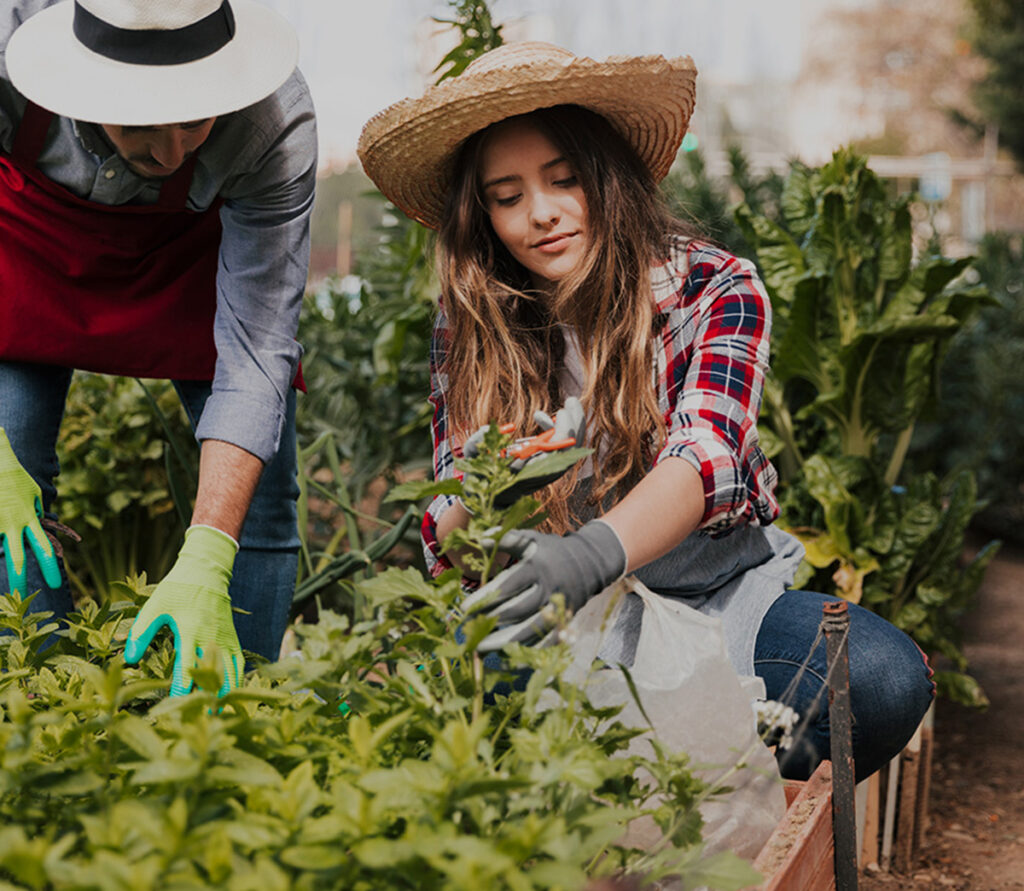 Specimen Book - Holaturf